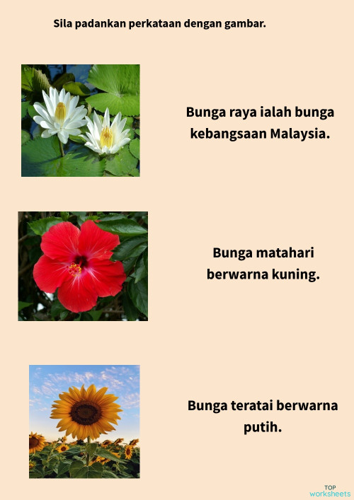 L1-Di taman bunga. Interactive worksheet | TopWorksheets