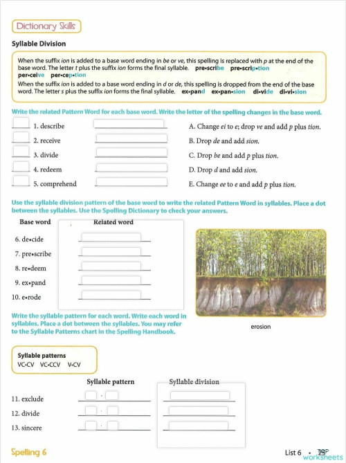 Dictionary: interactive worksheets and online exercises | TopWorksheets