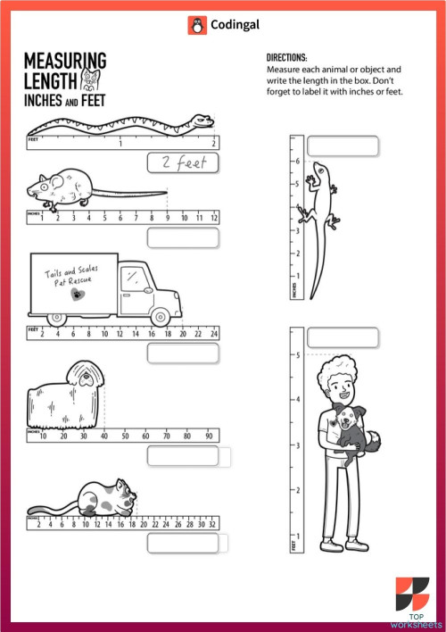 M_G01M12L44_WC02_Measuring_Length_(Meters_and_Feet)_2. Interactive worksheet | TopWorksheets