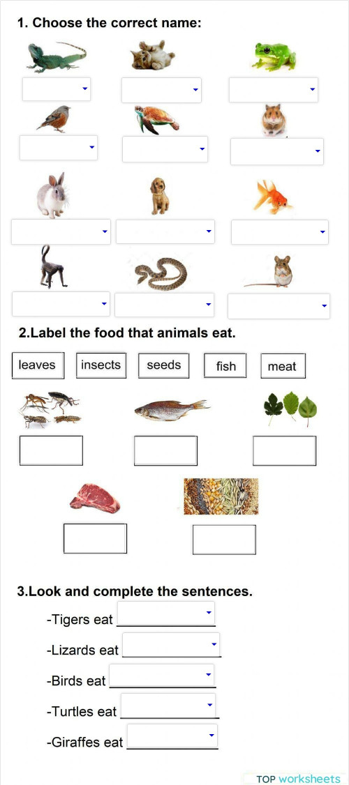 EN2-U5-Animals-food. Interactive worksheet | TopWorksheets