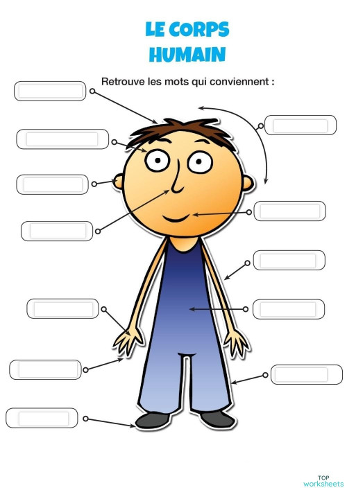 1º ESO - LE CORPS HUMAIN. Fiche interactive | TopWorksheets