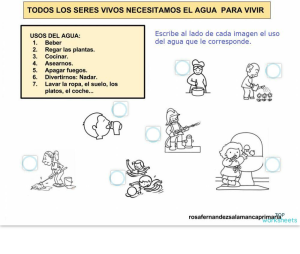 El agua . Ficha interactiva | TopWorksheets