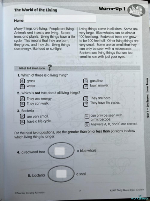 Science Daily Warm-Up 1: Living Things. Interactive worksheet ...