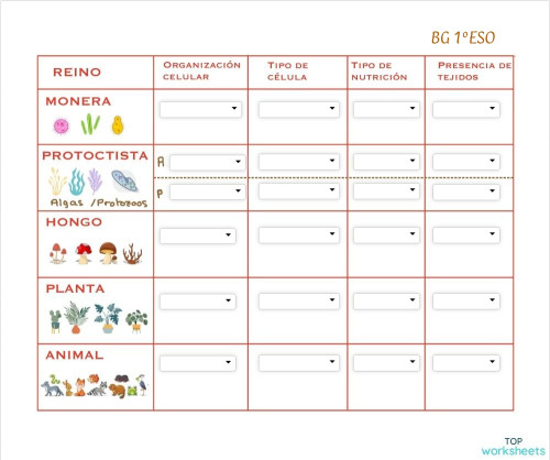 CARACTERÍSTICAS DE LOS 5 REINOS. Ficha interactiva | TopWorksheets