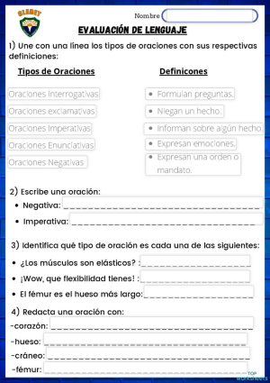 Tipos de Oraciones. Semana 4. Ficha interactiva | TopWorksheets