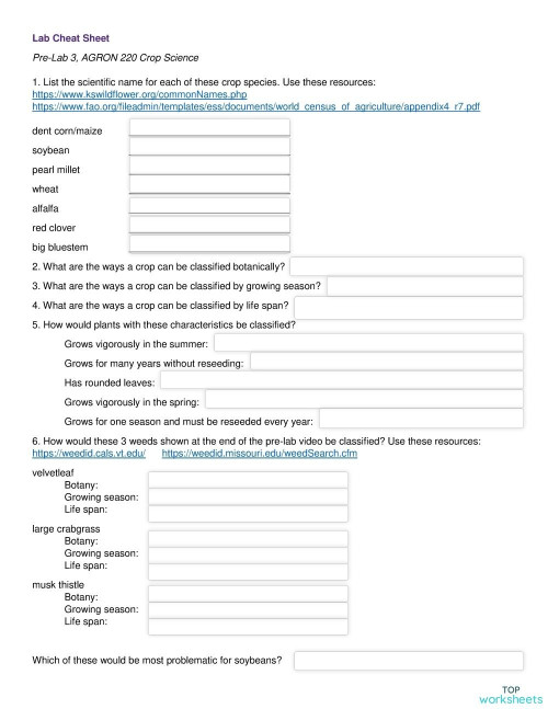 Pre-Lab 3 Cheat Sheet. Interactive worksheet | TopWorksheets