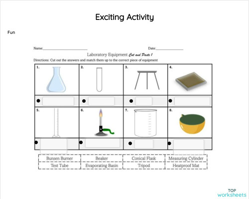 Exciting Activity. Interactive worksheet | TopWorksheets