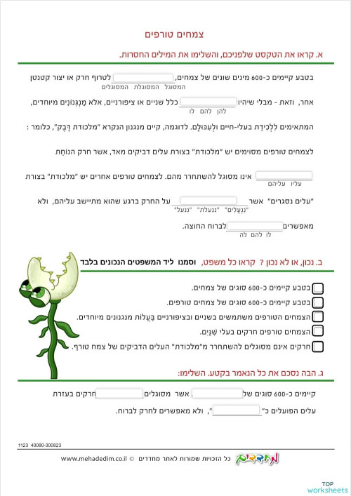 Interactive worksheets and online exercises in hebrew | TopWorksheets