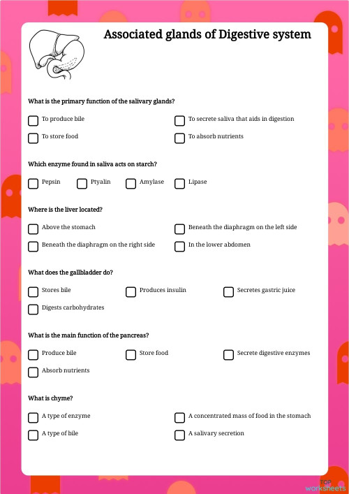 Associated glands of Digestive system. Interactive worksheet ...