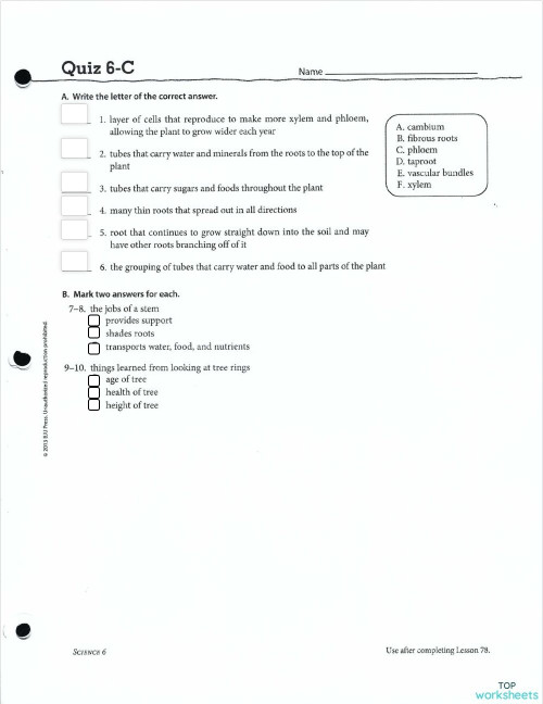 Plant Classification: interactive worksheets and online exercises ...