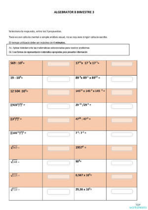 Algebrator 8. Ficha interactiva | TopWorksheets