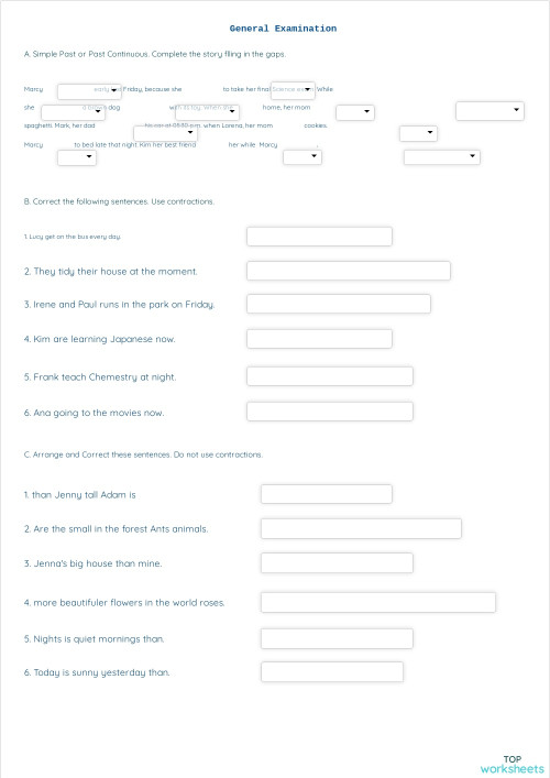 General Examination. Interactive worksheet | TopWorksheets