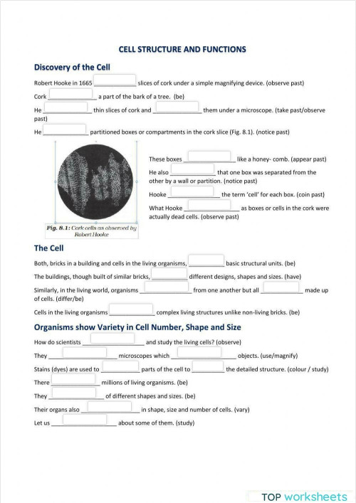 Cell Structure And Functions Interactive Worksheet Topworksheets