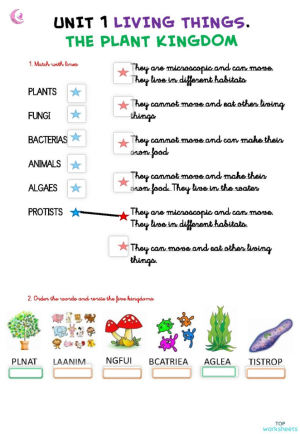 LIVING THINGS. The Plant Kingdom. Interactive worksheet | TopWorksheets