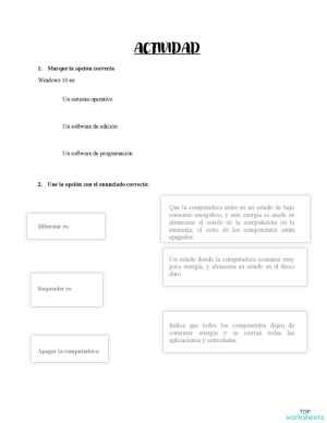 T2.MI EQUIPO. Ficha interactiva | TopWorksheets