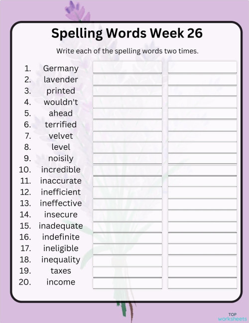 3rd grade: interactive worksheets and online exercises | TopWorksheets