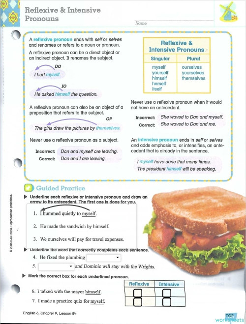 Lesson 84: Reflexive and Intensive Pronouns Pg 161. Interactive ...