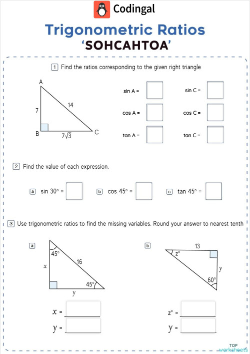 TrigonometricRatios_G10_WS1. Interactive worksheet | TopWorksheets