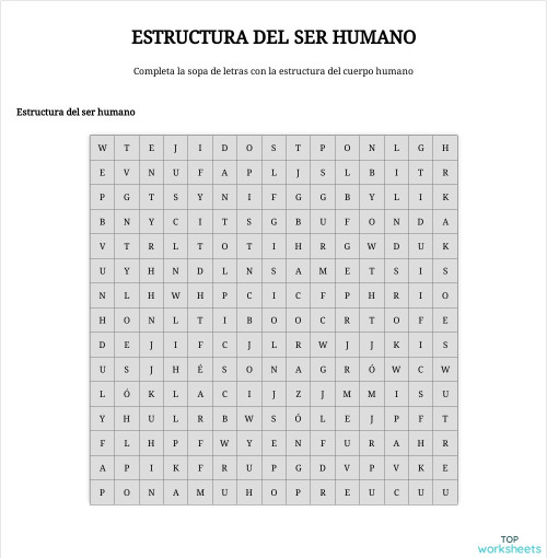 ESTRUCTURA DEL SER HUMANO. Ficha interactiva | TopWorksheets