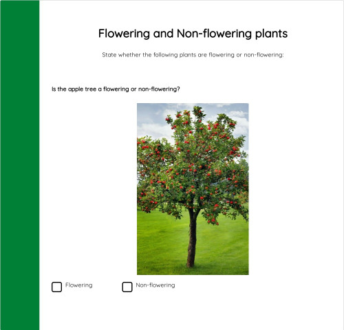 Flowering and Non-flowering plants. Interactive worksheet | TopWorksheets