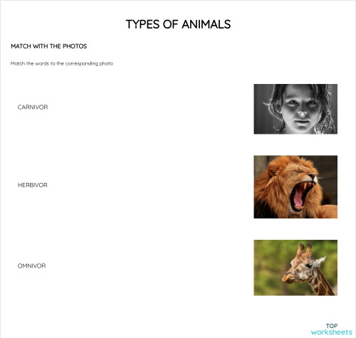 Animals: interactive worksheets and online exercises | TopWorksheets