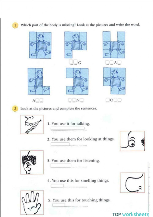 PARTS OF THE BODY 1. Interactive worksheet | TopWorksheets