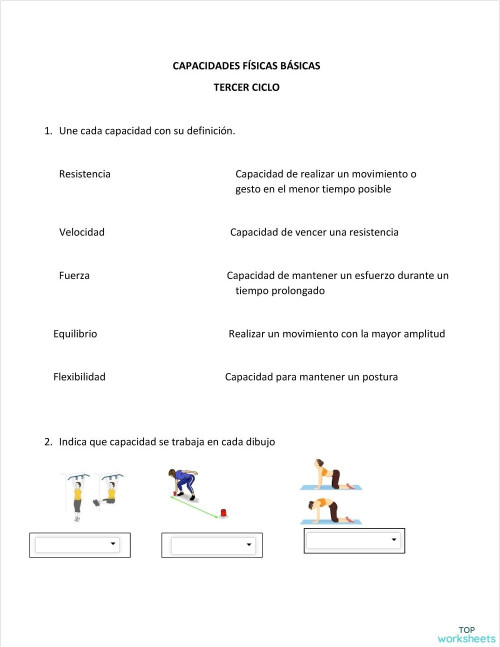 CAPACIDADES FISICAS BASICAS. Ficha interactiva | TopWorksheets