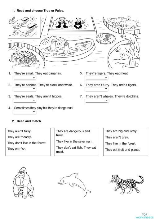 Means of transport. Interactive worksheet | TopWorksheets
