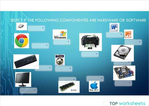 Hardware and sofware. Interactive worksheet | TopWorksheets