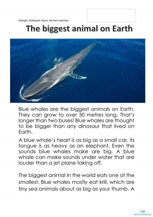 Blue Whales (HA). Interactive worksheet | TopWorksheets