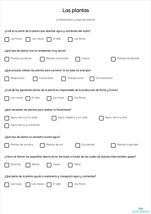 Las plantas. Ficha interactiva | TopWorksheets