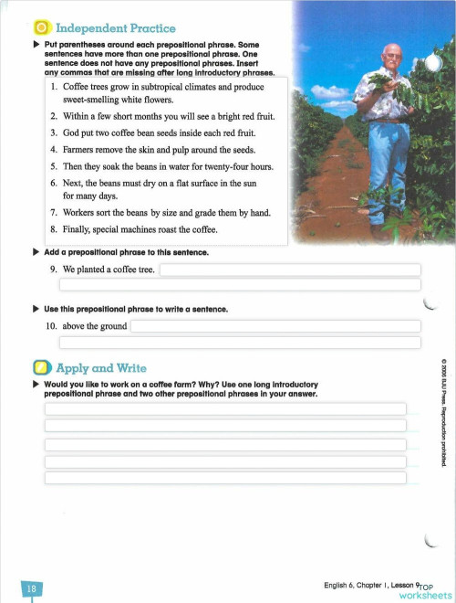 Independent Practice Pg 18. Interactive worksheet | TopWorksheets