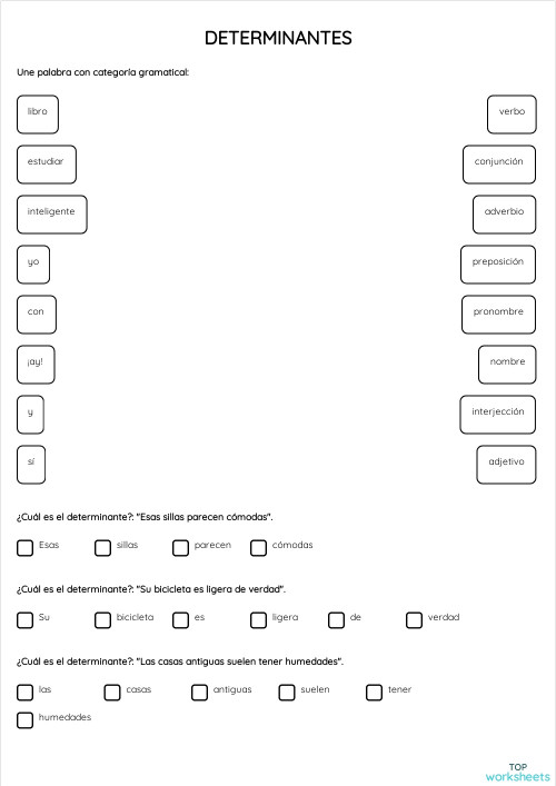 DETERMINANTES 1. Ficha interactiva | TopWorksheets