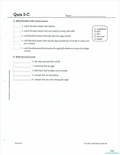 Animal Classification: interactive worksheets and online exercises ...