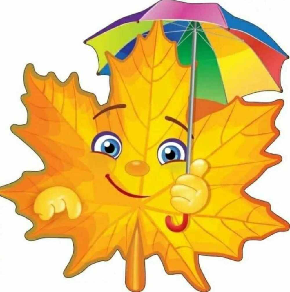 SÜGIS ON KÄES!. Interactive worksheet | TopWorksheets