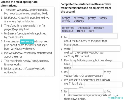 modifiers adjectives. Interactive worksheet | TopWorksheets