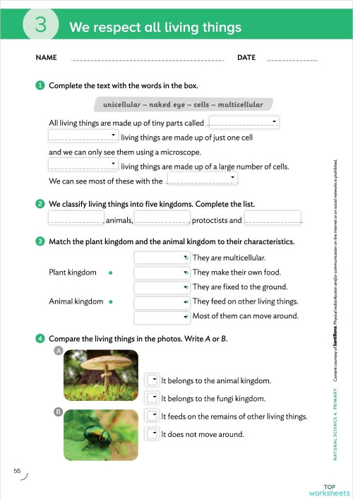 SCIENCE CONTROL UNIT 3. Interactive worksheet | TopWorksheets