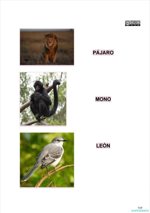 Une con flechas la imagen con la palabra- Animales 1er año. Ficha ...