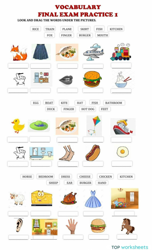 Vocabulary-Final exam practice 1. Interactive worksheet | TopWorksheets