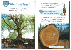 Oct 22_ORD_Trees_Chapter 1. Interactive worksheet | TopWorksheets