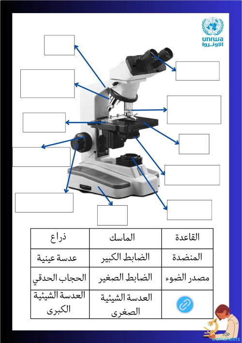 Gray Natural Abstract Minimalist Worksheet A4 Notes Page. Interactive ...
