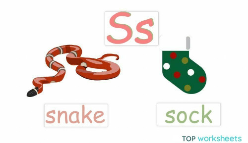 Picture Alphabet S-Z. Interactive worksheet | TopWorksheets