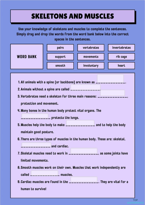 Plant vs Human Body Organs. Interactive worksheet | TopWorksheets