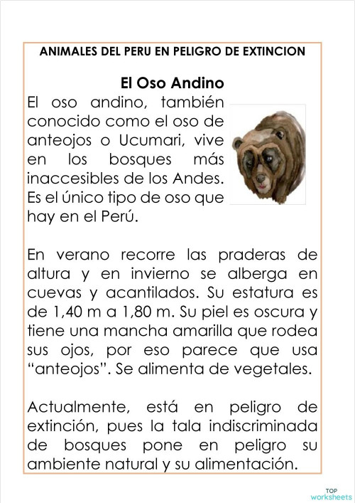 LEEMOS UN TEXTO INFORMATIVO SOBRE EL OSO ANDINO - Nivel 3. Ficha ...