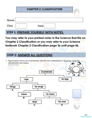 REVISION Classification part 2. Interactive worksheet | TopWorksheets