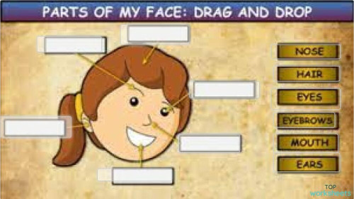 body parts 2. Interactive worksheet | TopWorksheets