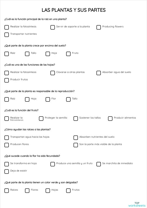 LAS PLANTAS Y SUS PARTES. Ficha interactiva | TopWorksheets