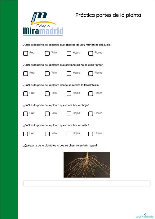 La reproducción de las plantas . Ficha interactiva | TopWorksheets