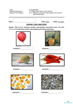 PERMUKAAN KASAR. Interactive worksheet | TopWorksheets