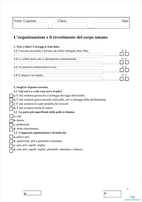 Organizzazione corpo umano e apparato tegumentario (Copiato). Scheda ...